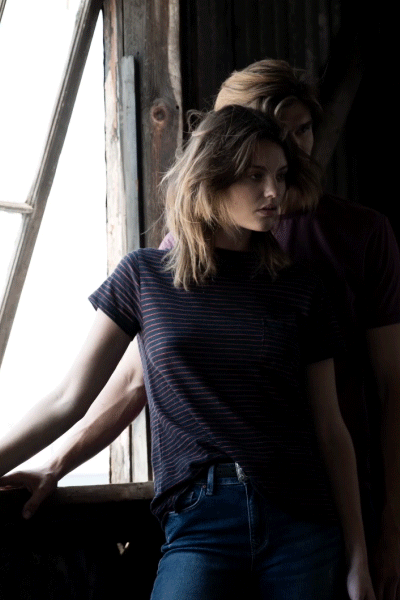 director - Robert Connelly